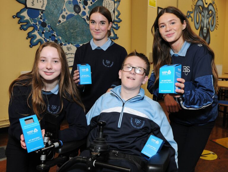 Ramsgrange Community School in Co Wexford crowned Battery Recycling ...