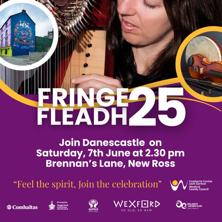 Fringe Fleadh 2025 Kicks Off in New Ross with a Lively Traditional ...