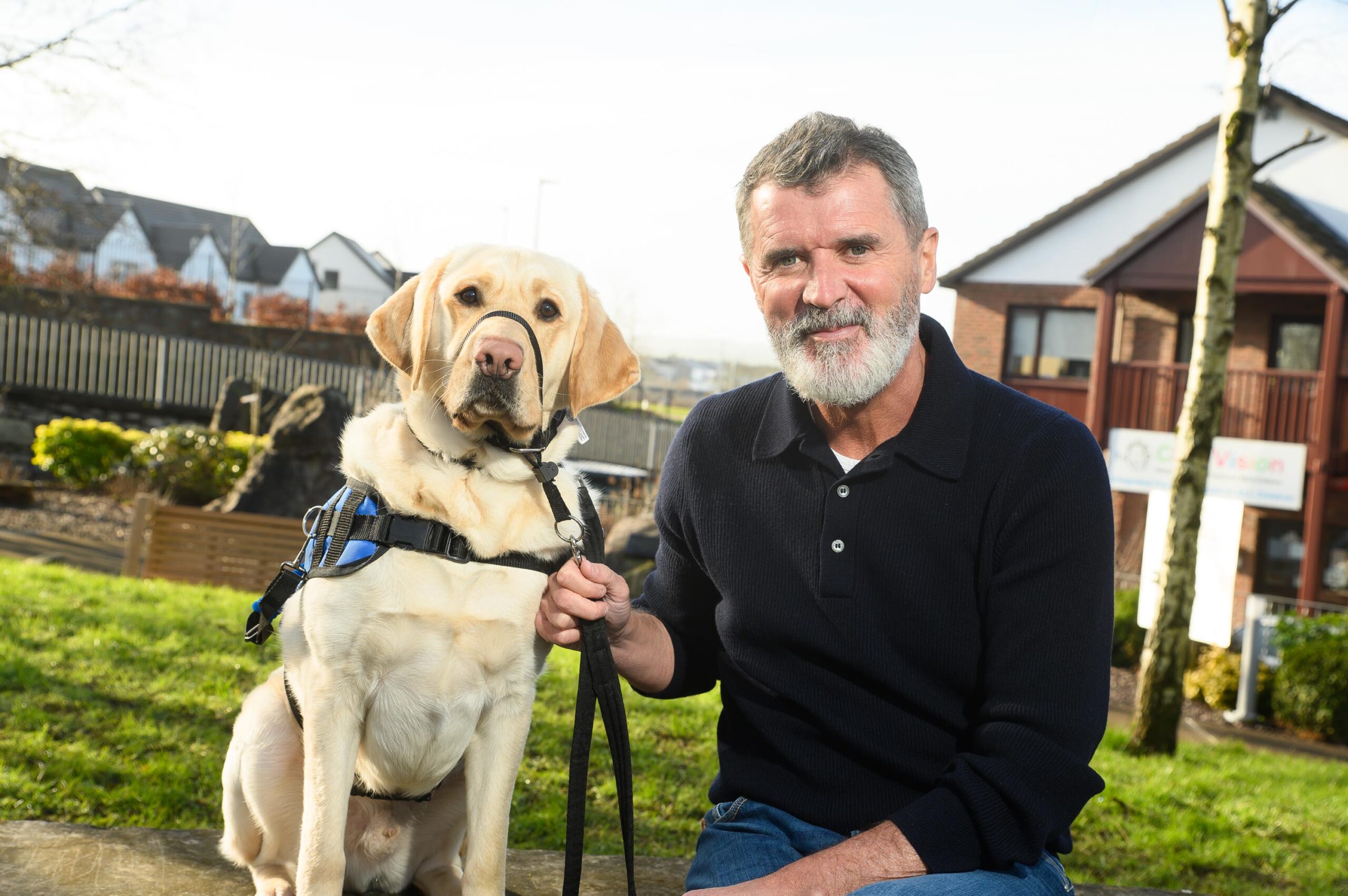 Support the Wexford Branch of Irish Guide Dogs for the Blind This Guide ...