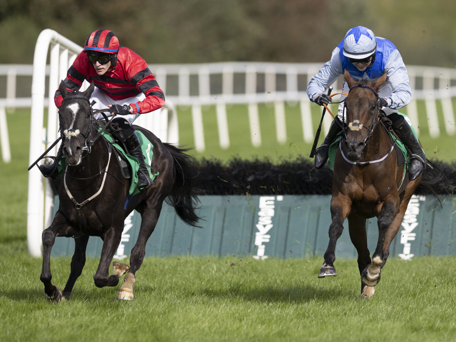 Councillor Jim Codd Criticizes Lack of Drugs Task Force Coordinator