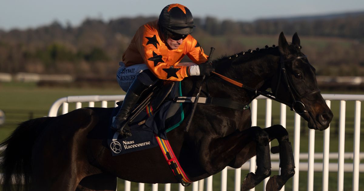 Wexford Racing News - Colin Bowe and Sean Flanagan Shine at Naas